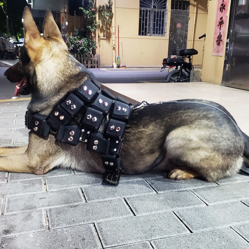 Dog Weight Pulling Harness Weighted Dog Vest Pitbull Weight Pulling 
