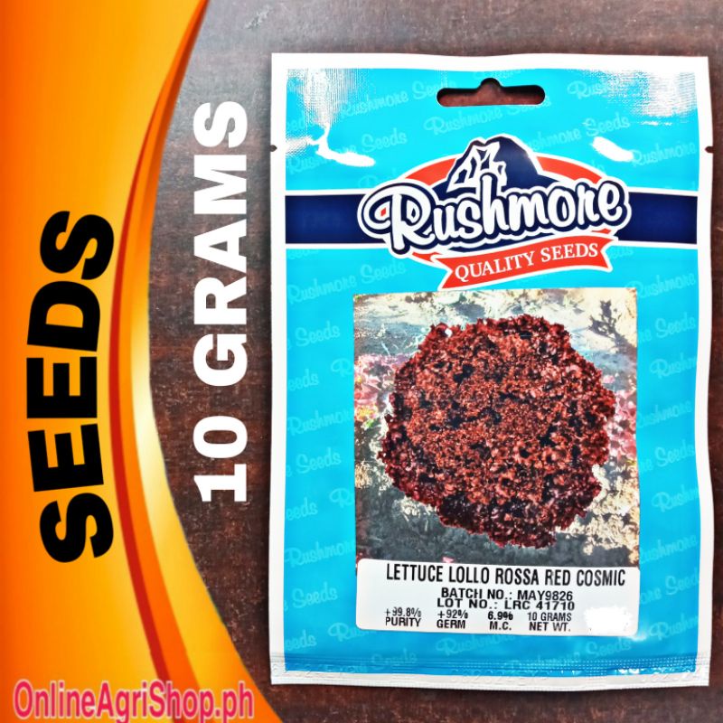 RED COSMIC LOLLO ROSSA LETTUCE SEEDS (10 GRAMS) RUSHMORE BRAND BY RAMGO ...