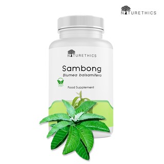 All Natural Sambong Capsules Herbal Food Supplement | Shopee Philippines