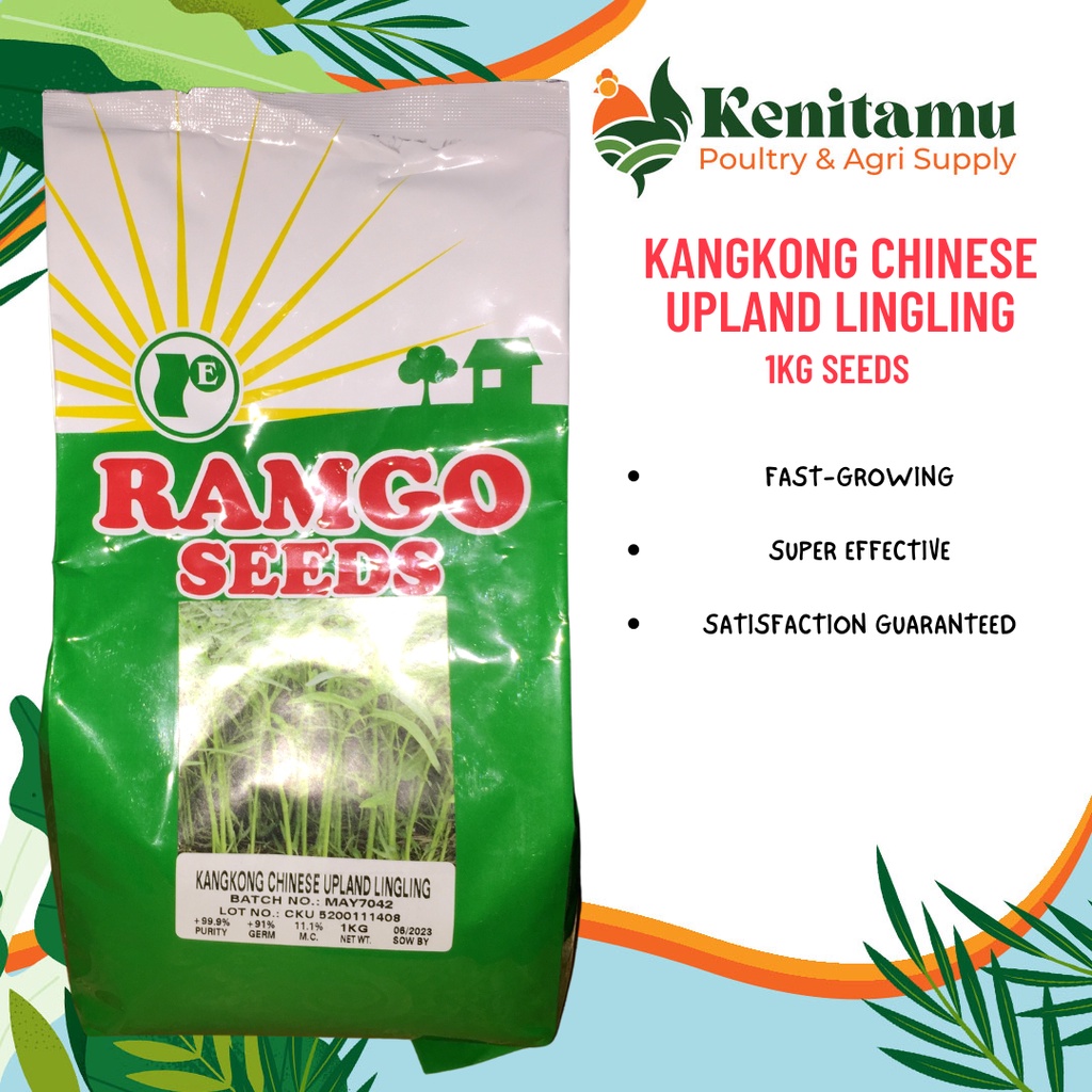 KANGKONG SEEDS - CHINESE KANGKONG 1KG PACK - RAMGO INTERNATIONAL ...
