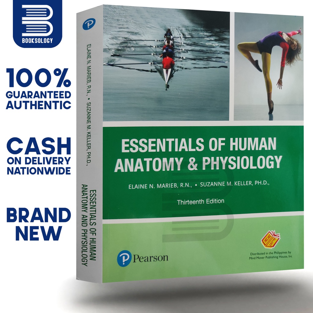Essentials Of Human Anatomy And Physiology Thirteenth 13th Edition