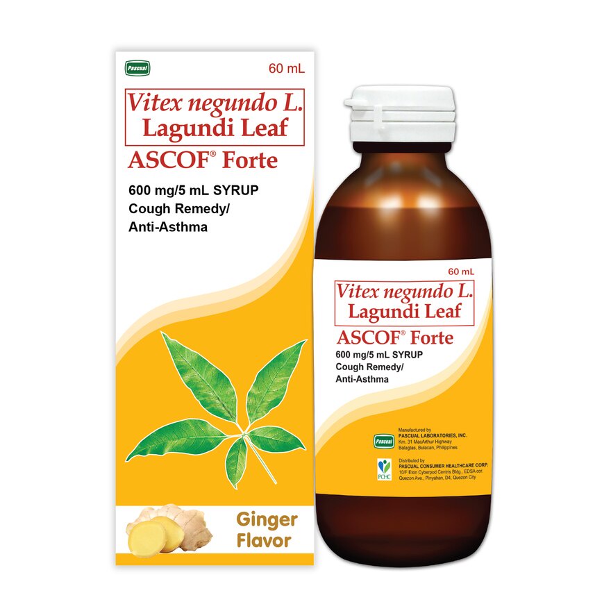 ASCOF FORTE GINGER SYR 600MGX60ML | Shopee Philippines
