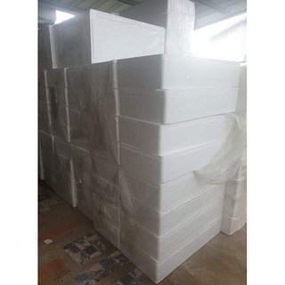 customized tuna box/styro box for hydroponics (3pcs) | Shopee Philippines