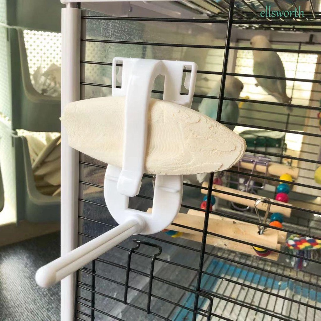 ELLSWORTH Conure Bird Food Holders Parakeet Parrot Feeder Cuttlebone ...