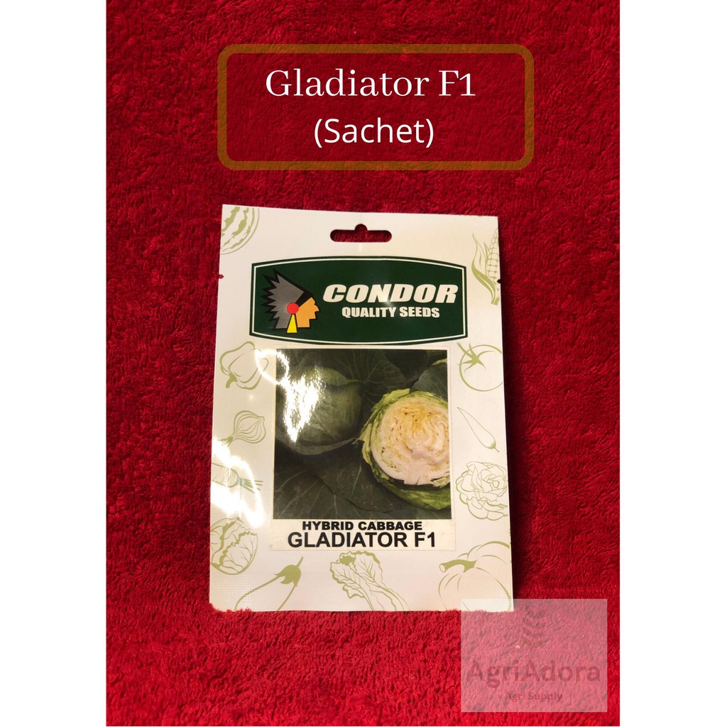 GLADIATOR F1 Hybrid Cabbage Seeds (Condor Quality Seeds) | Shopee ...