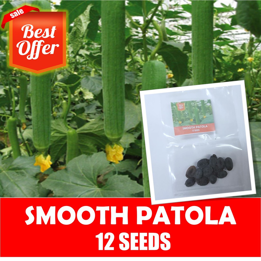 Patola Smooth Seeds - Vegetable Seeds | Shopee Philippines