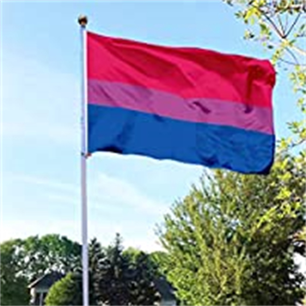 3x5 Ft bisexual flag Bisexual Pride Flag LGBT Flag outdoor banner ...