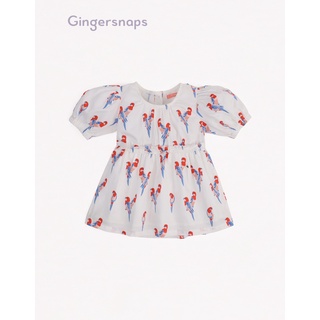 gingersnaps - Best Prices and Online Promos - Mar 2023 | Shopee Philippines