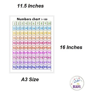 Laminated Big chart Numbers 1-100, Educational Chart for kids ...