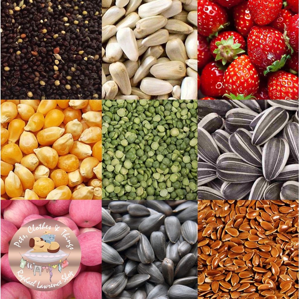 Bird Food Mixes, Pellets, & Treats | Parrot Conure Mynah Budgie ...