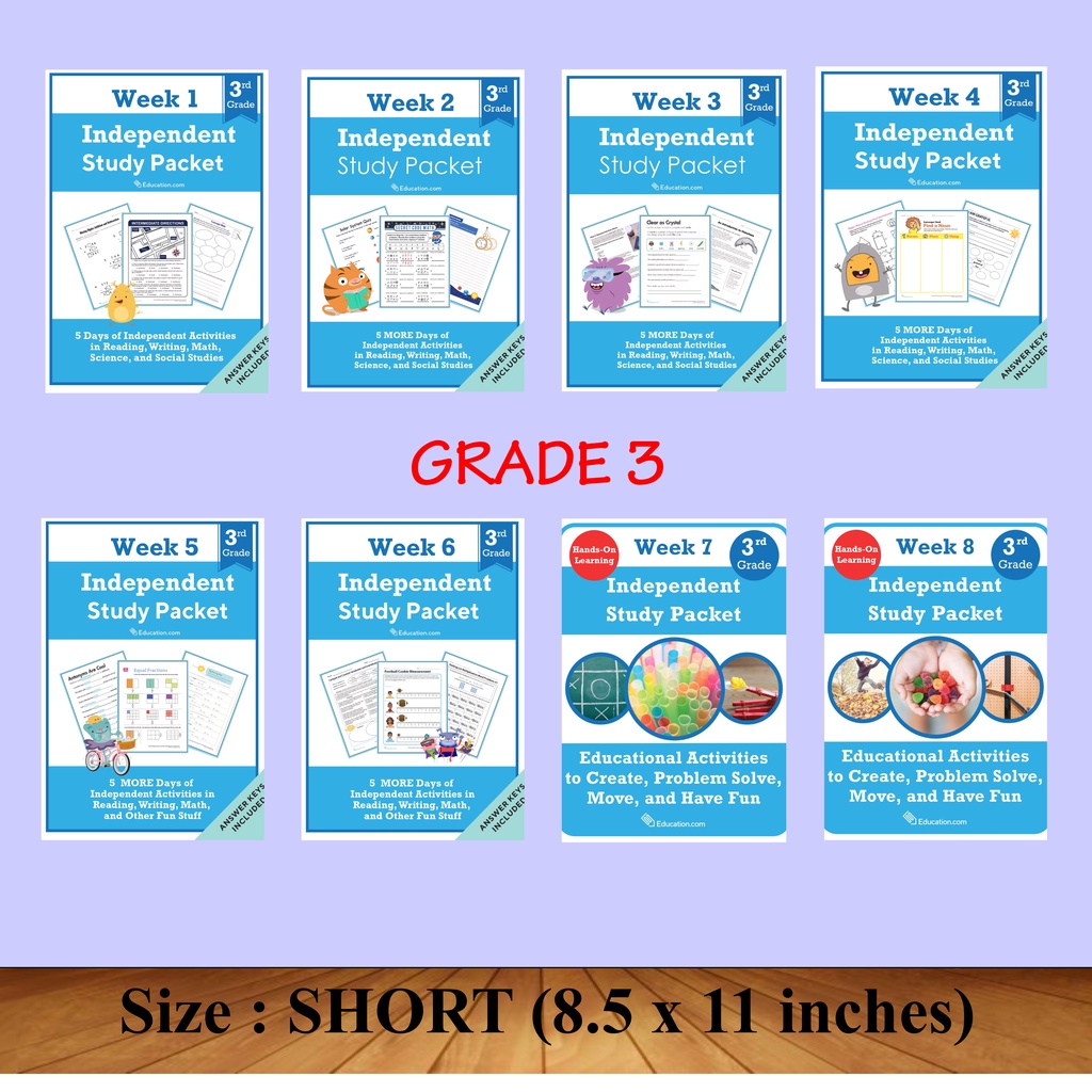 GRADE 3 Independent Study Packet (Worksheets / Workbooks) | Shopee ...