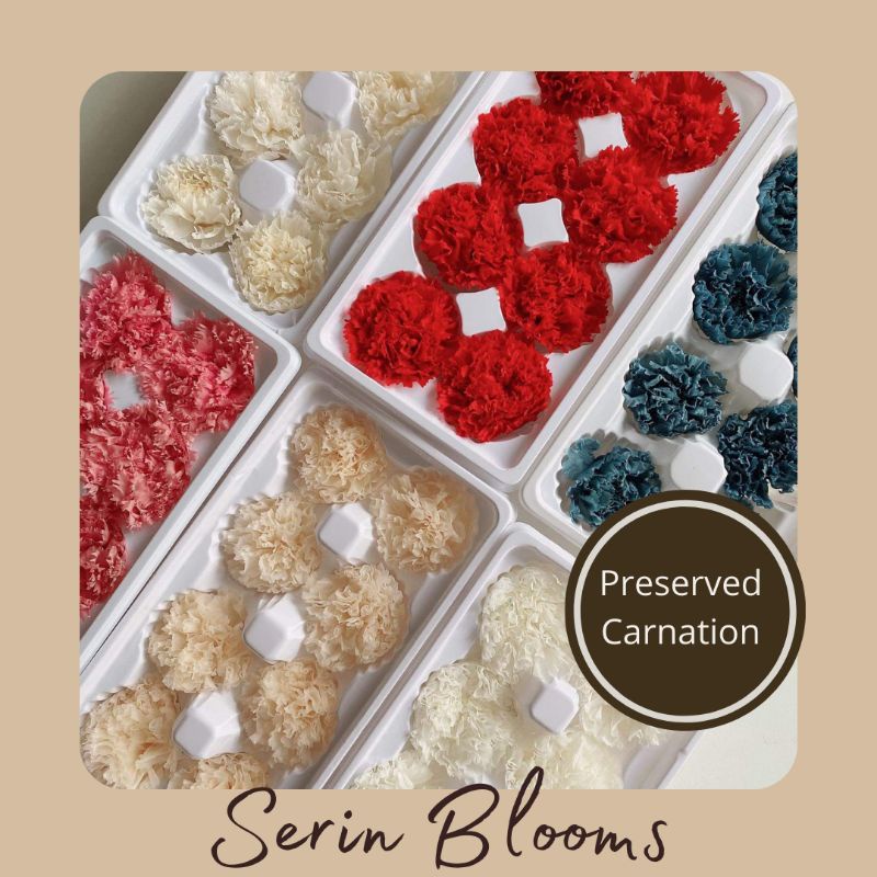Real Preserved Carnation (sold per head) | Shopee Philippines