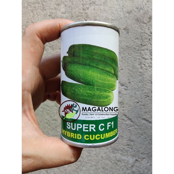 CONDOR SEEDS - CUCUMBER SEEDS - SUPER C F1 HYBRID 260 Seeds - JR CAN ...