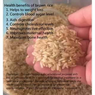 Brown Rice Premium Quality 25 kg | Shopee Philippines