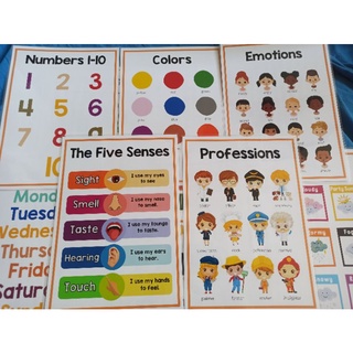 HIGH QUALITY PRINT!!Laminated Educational Charts MINIMALIST A4 size ...