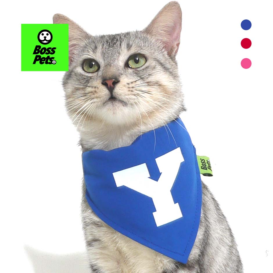 Boss Pets, Online Shop | Shopee Philippines