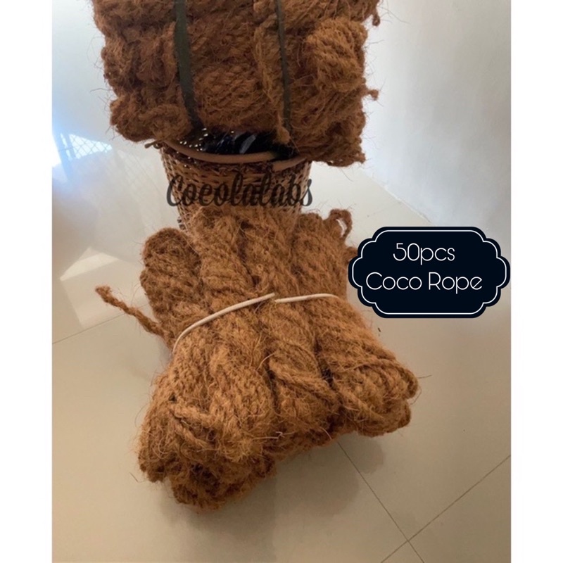 Coco fiber rope / Coco twine / Coco rope (50pcs) | Shopee Philippines