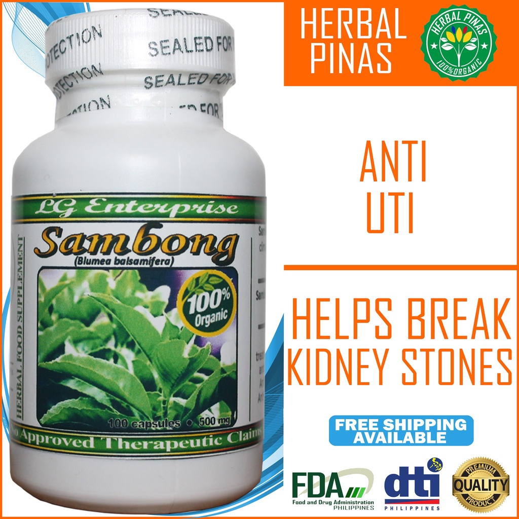 Sambong Anti UTI and Kidney Stones Pure and Natural 100 Capsules 500mg ...