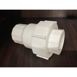 PPR Check Valve PPR Fittings | Shopee Philippines
