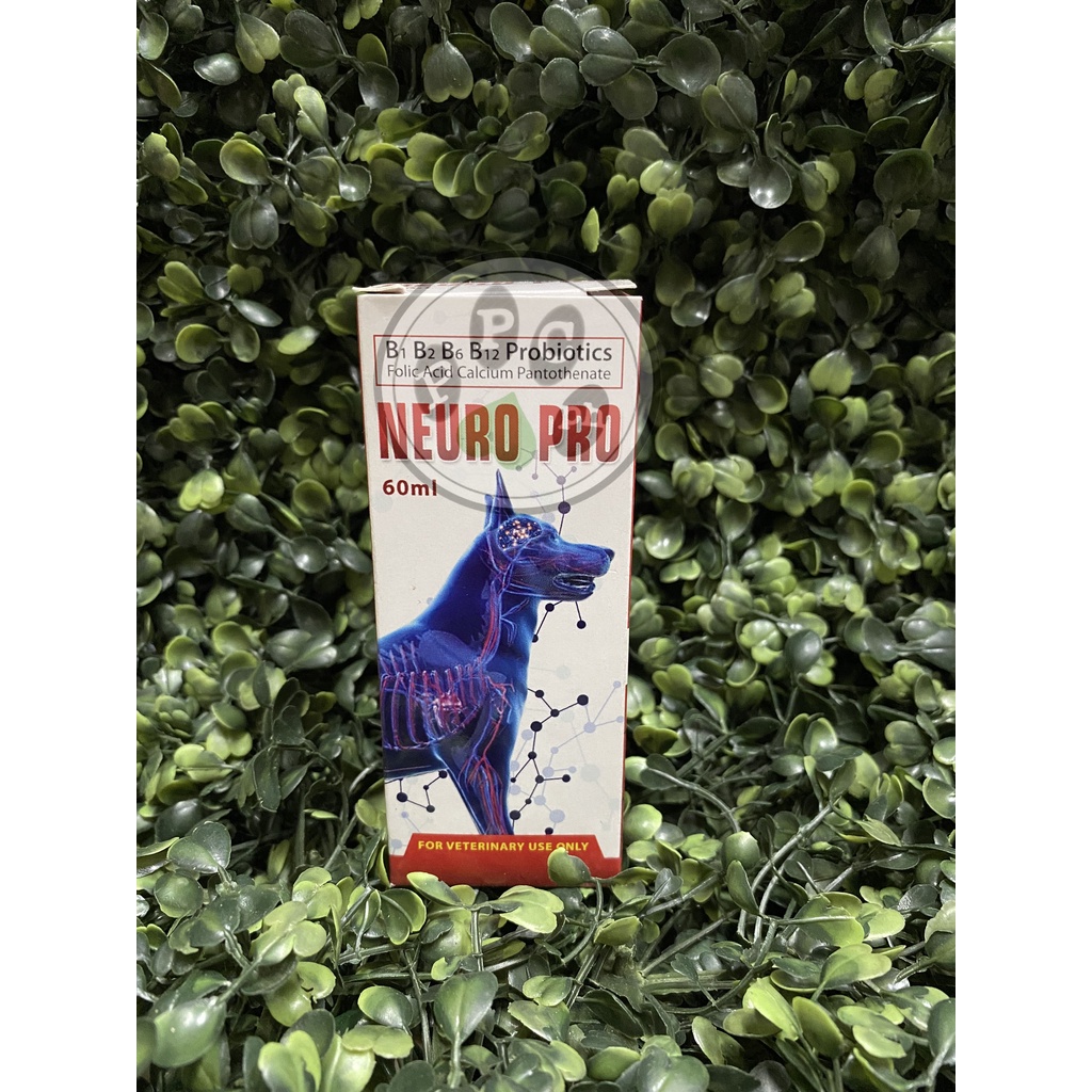 Neuro Pro Vitamin B Complex with Probiotics Supplement for Dogs 60mL ...