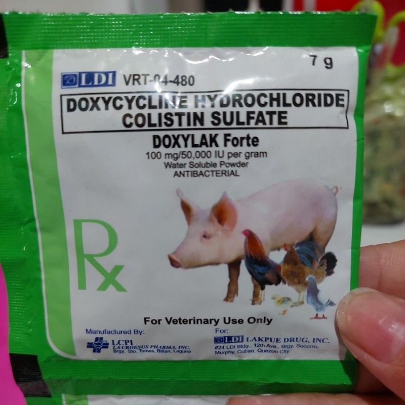 DOXYLAK FORTE POWDER 7G 1sachet | Shopee Philippines