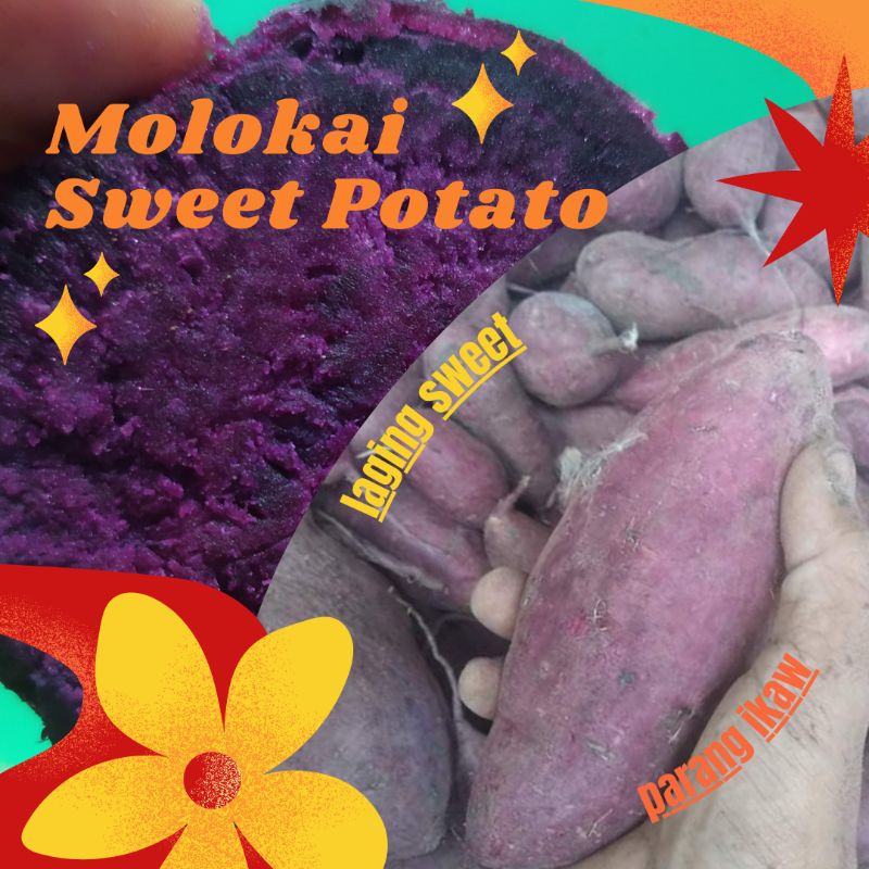 Molokai Sweet Potato | Molokai kamote | kamote 1kg (COD) | Shopee ...