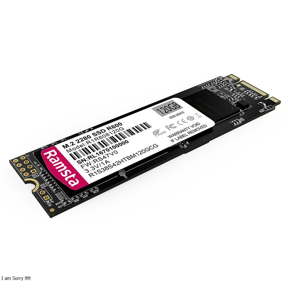 Ramsta R600 M.2 2280 Sata 128gb ssd | Shopee Philippines