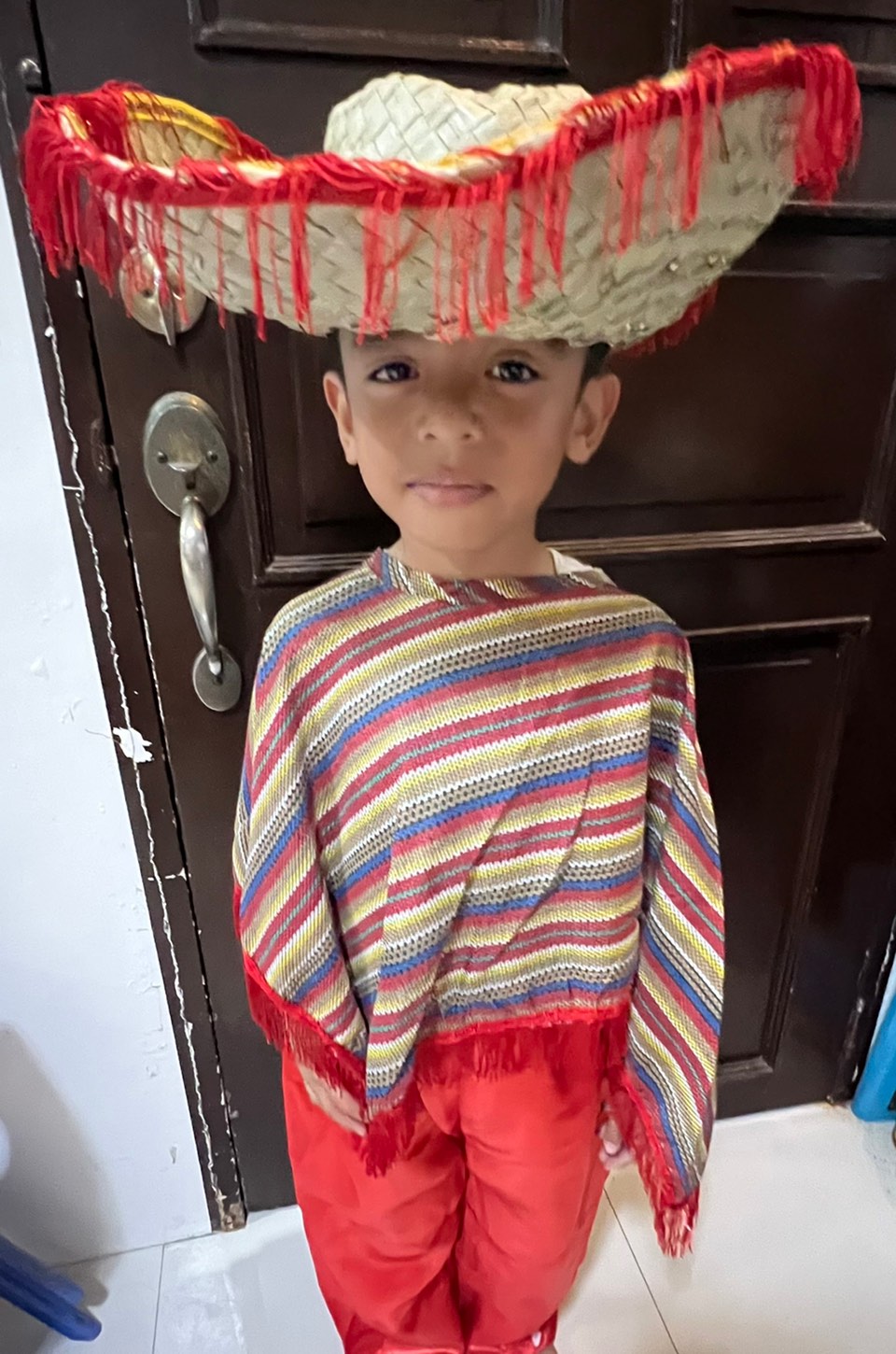 Mr MEXICO, United Nations Costume Brazil Guatemala Venezuela Colombia ...