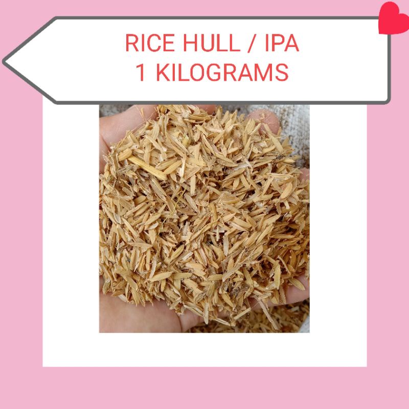 1 KILOGRAMS RICE HULL / IPA | Shopee Philippines
