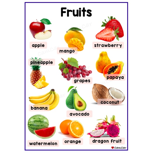Fruits and Vegetables A4 Laminated Educational Wall Chart by CamCar ...