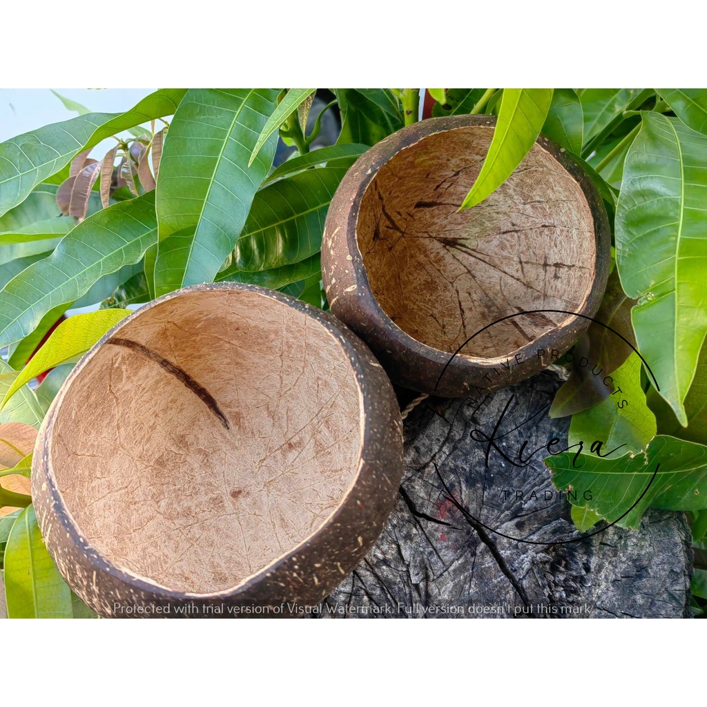 Native Bowl Coconut Bowl Coconut Shell Bowl Bao ng Niyog Nyog | Shopee ...