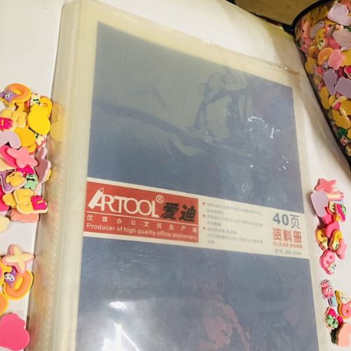 Ecoplanet Clearbook with translucent cover Document Organizer Clearbook ...