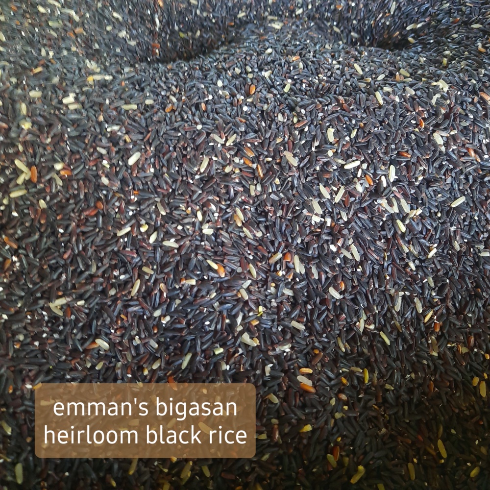 Emman's Bigasan Specialty Rice, Online Shop | Shopee Philippines