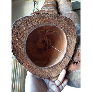 BUNOT/FLOOR POLISHER FROM COCONUT HUSK/PANGLAMPASO/ | Shopee Philippines