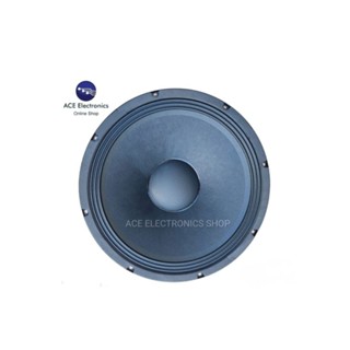 BW15-500 500W 15 INCHES BROADWAY SPEAKER | Shopee Philippines