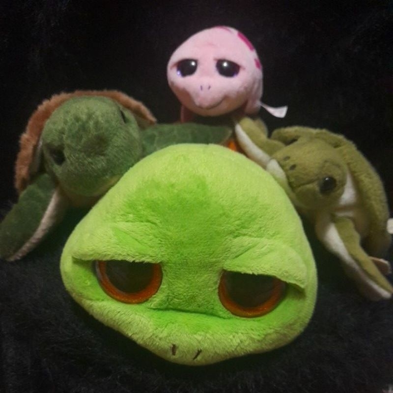 turtle plush TY Big Eye Stuffed toy Realistic turtle toy | Shopee ...