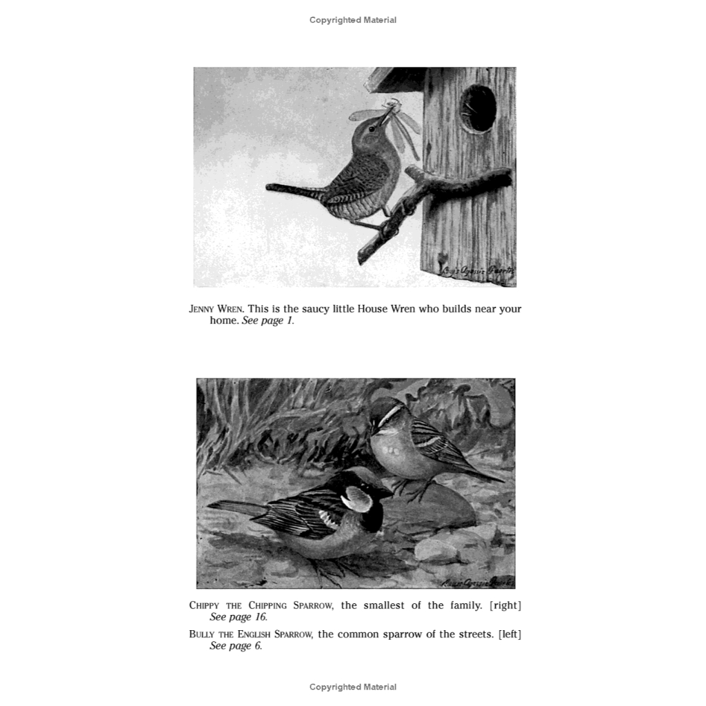 Burgess Bird Book for Children - Charlotte Mason Homeschool Recommend ...