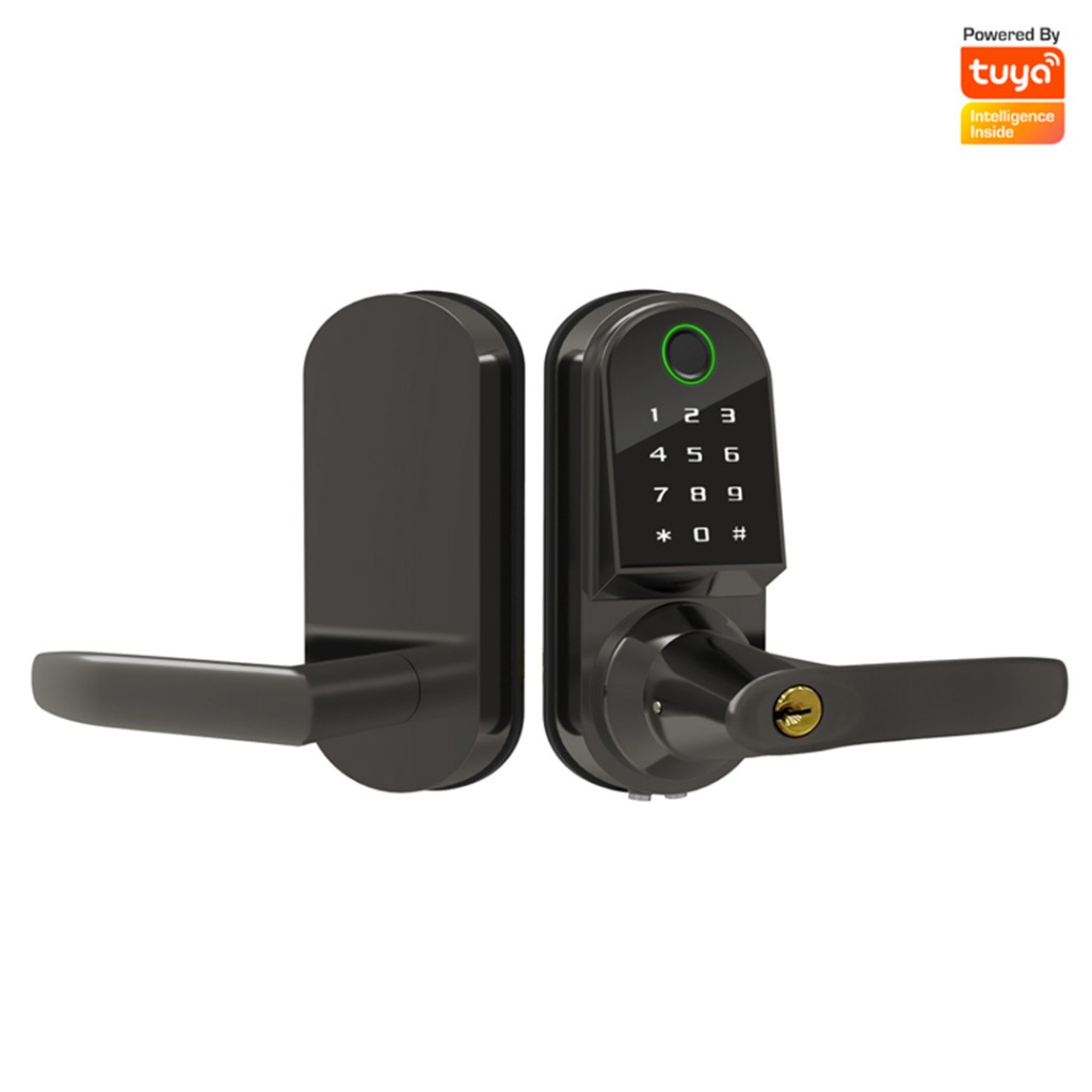 Handymate Smart Door Lock Tuya App Control Fingerprint Unlock Card ...