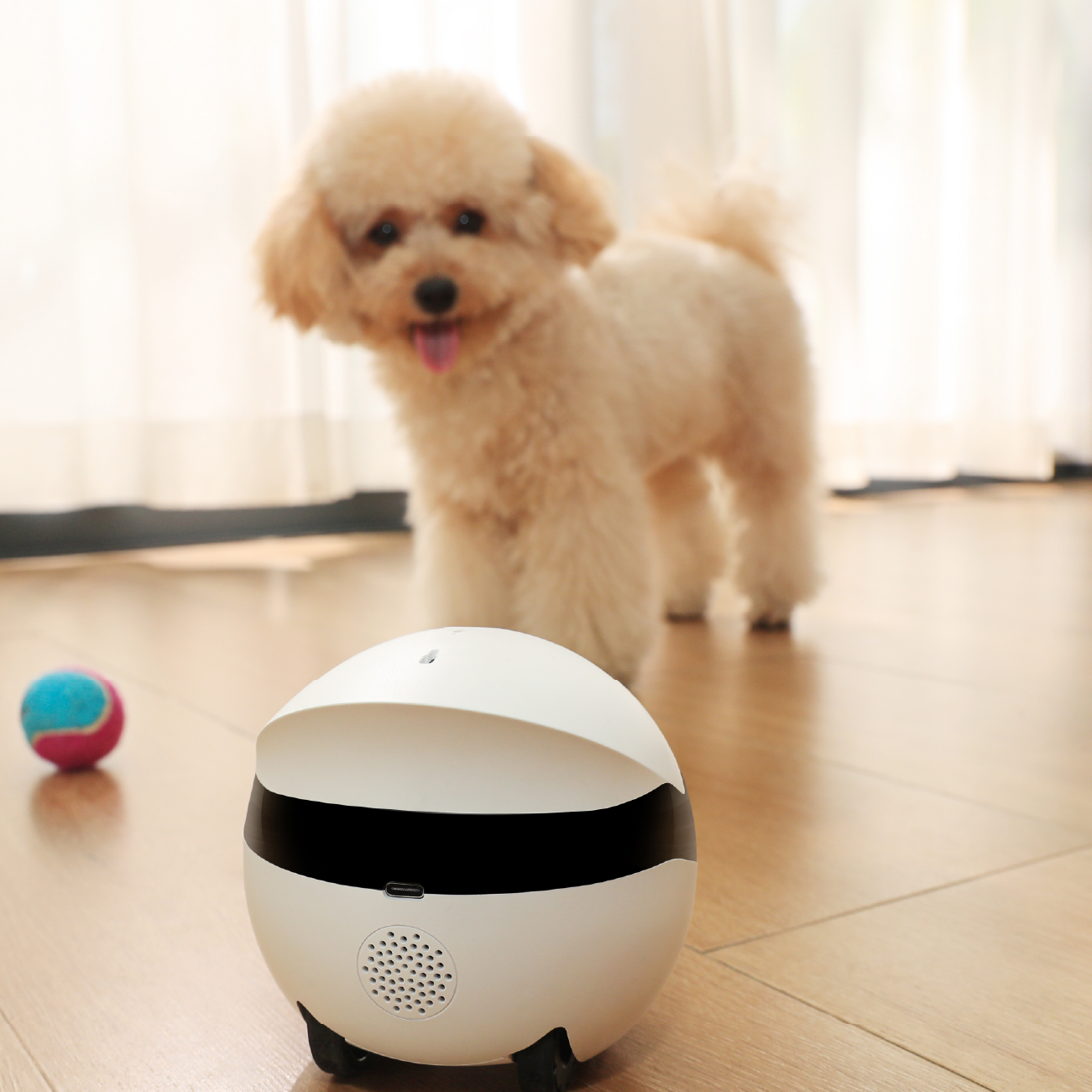 Enabot ROLA Mini Pet Monitor