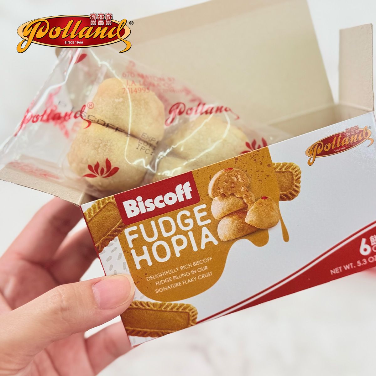 Polland Biscoff Fudge 6pcs 30grams/piece – Polland Hopia
