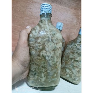 SALTED SISI TALABA / DAYOK SISI | Shopee Philippines