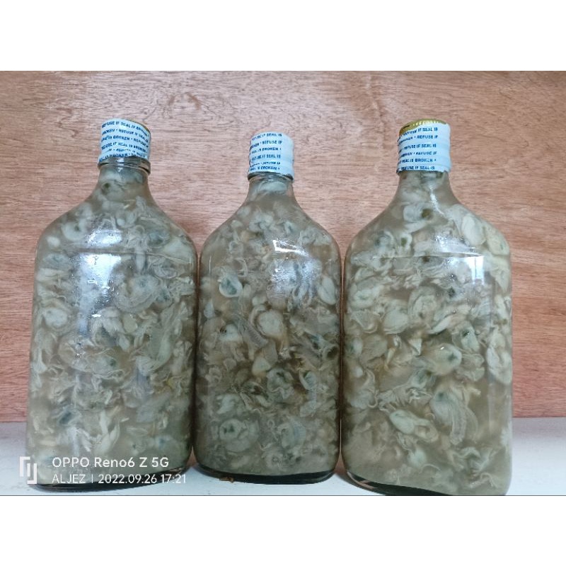 SALTED SISI TALABA / DAYOK SISI | Shopee Philippines