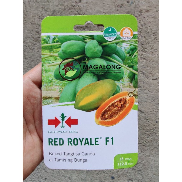 EAST-WEST SEEDS - PAPAYA SEEDS - RED ROYALE F1 HYBRID 15 Seeds | Shopee ...