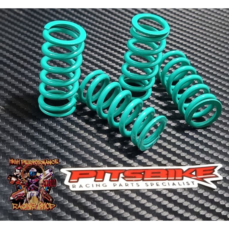 KAWASAKI ROUSER 135 PITSBIKE RACING CLUTCH SPRING AND LINING SET ...