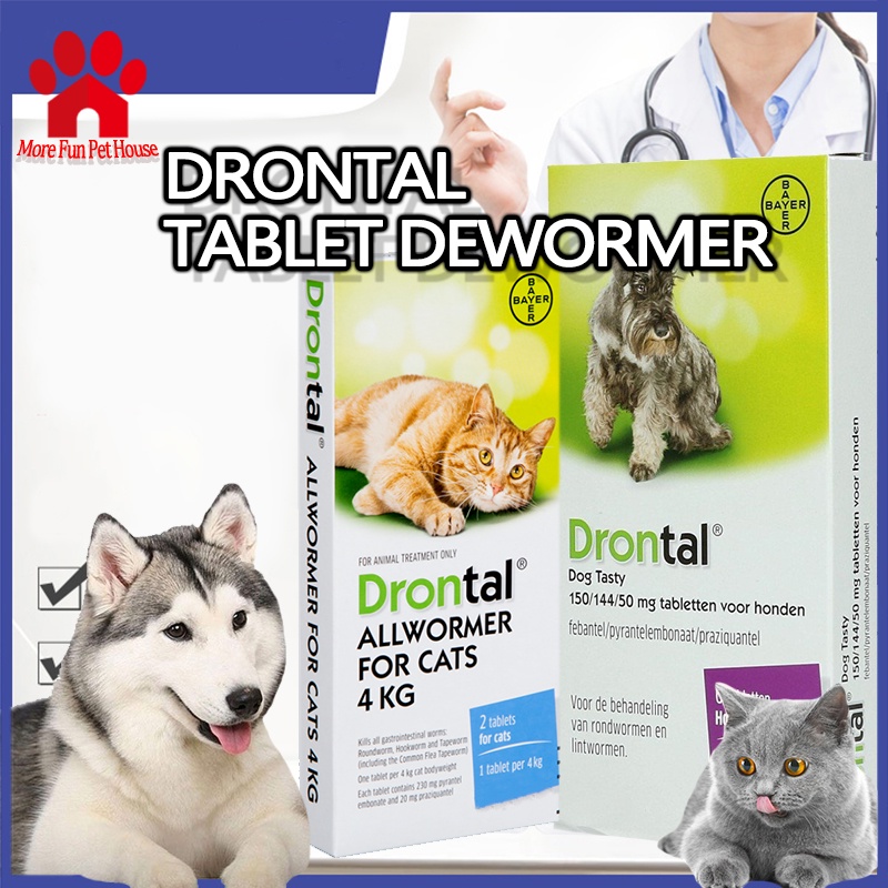 Can You Use Canine Dewormer On Cats