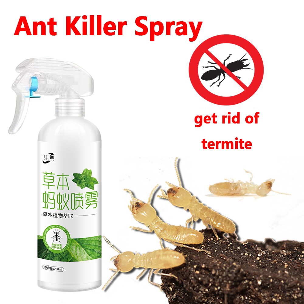 ants spray killer (ant killer) 250ml insecticide termite killer pest ...