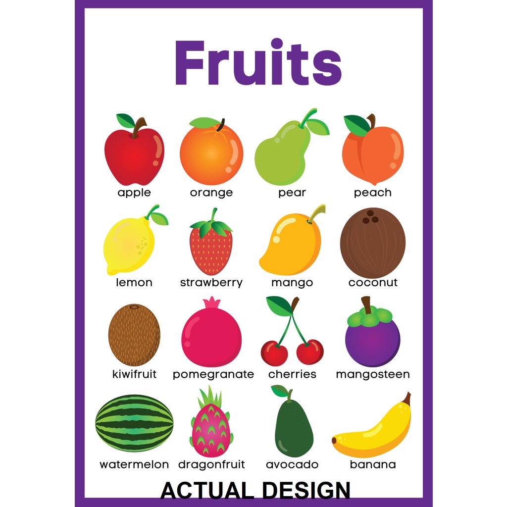 Educational learning materials for kids Laminated A4 Size Chart FRUITS ...