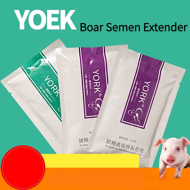 York boar semen dilution powder pig artificial insemination ...
