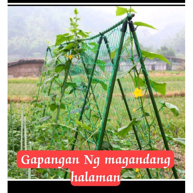 rangenet gapangan Ng halaman 5ft x 1.8metrs | Shopee Philippines