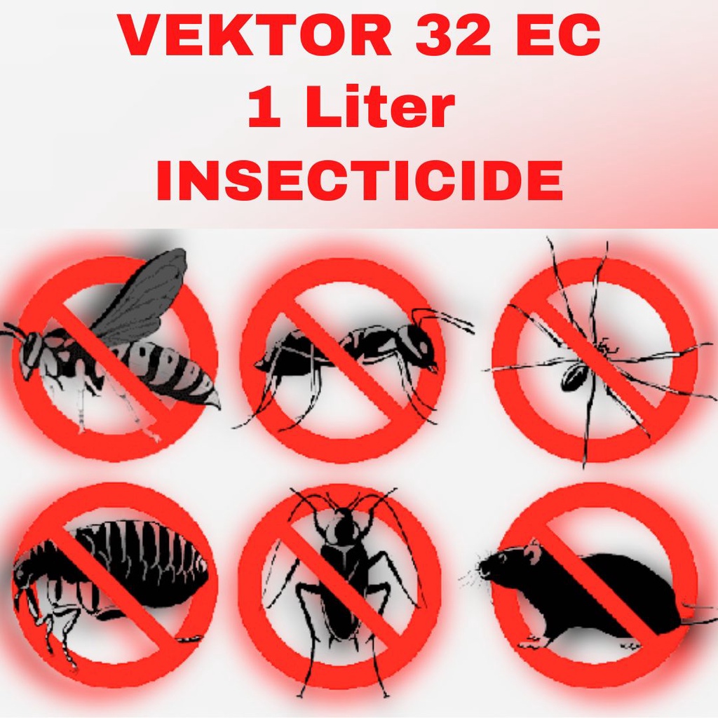 !BUY 1 TAKE 1! VEKTOR 32 EC 1liter INSECTICIDE / PAMATAY INSEKTO ...